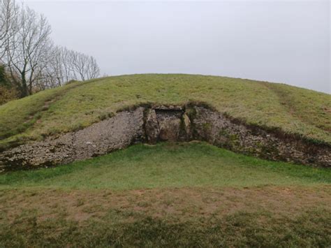 Bone Up On Some Long Barrows Corinium Museum