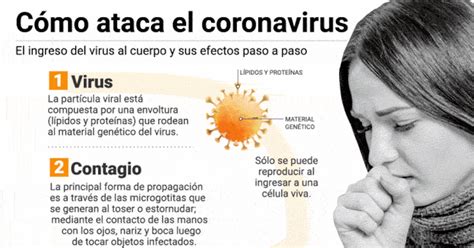 El Recorrido Del Coronavirus Así Entra El Sars Cov 2 Al Cuerpo Humano