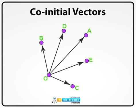 Excellent How To Do Vectors Physics Pics Types Of Vectors