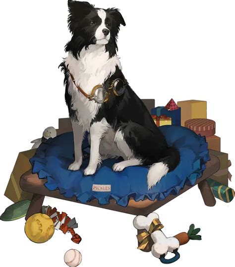 Pickles Reverse1999 Wiki Danbooru