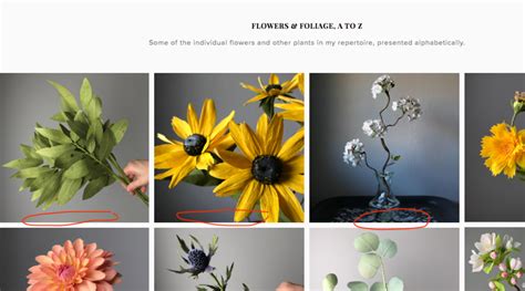 Show Photo Captions On Main Gallery Page And Disable Hover On Slideshow Customize With Code