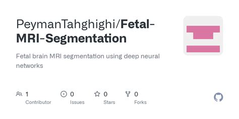 Github Peymantahghighi Fetal Mri Segmentation Fetal Brain Mri