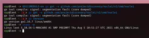 Issue Go Tool Compile Signal Segmentation Fault Core Dumped