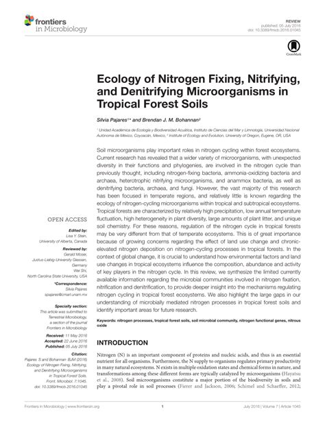 Pdf Ecology Of Nitrogen Fixing Nitrifying And Denitrifying