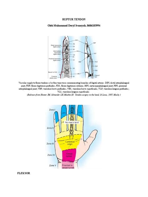 Ruptur Tendon Pdf