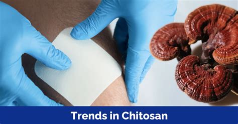 Top 12 Trends In Chitosan For 2025 And 2026