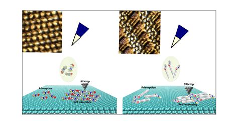 Two Dimensional Nanoarchitectonics With Fluorination And Alkylation On