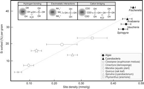 Potentiometric Titration Results Mean Reactive Site Density Mmolg