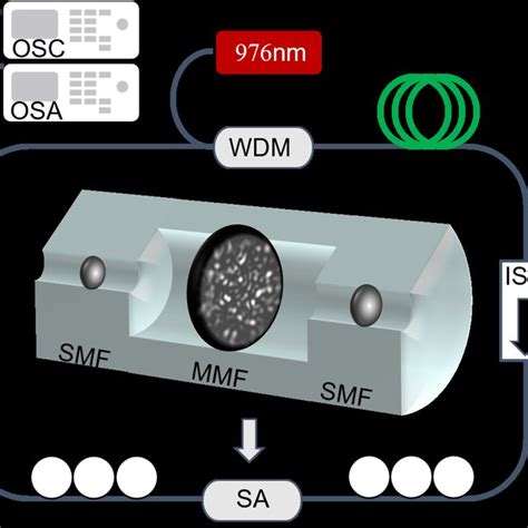 Sa Saturable Absorber Smf Single Mode Fiber Mmf Multimode Fiber Download Scientific