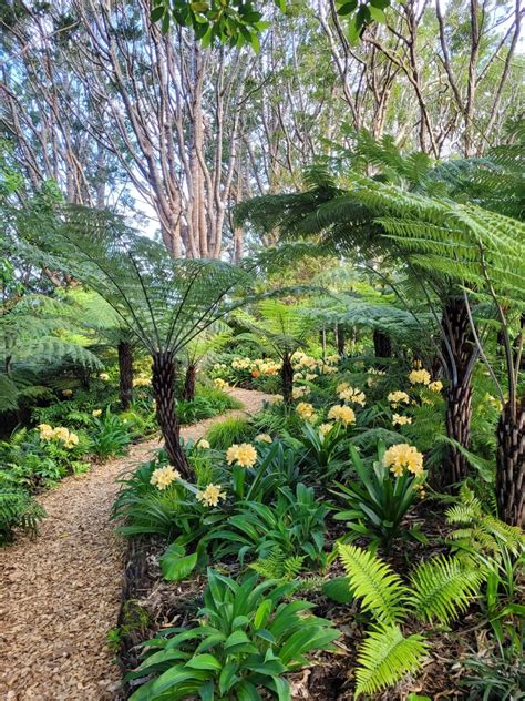 Omaio — New Zealand Garden Trust