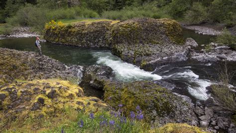 Molalla Oregon Bureau Of Land Management