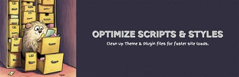 optimize scripts and styles plugin —