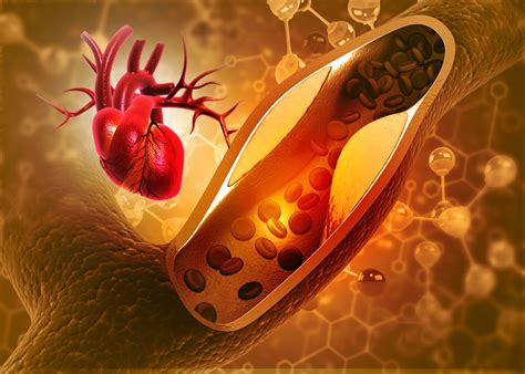 Understanding Advanced Lipid Testing For Cardiovascular Risk Assessment