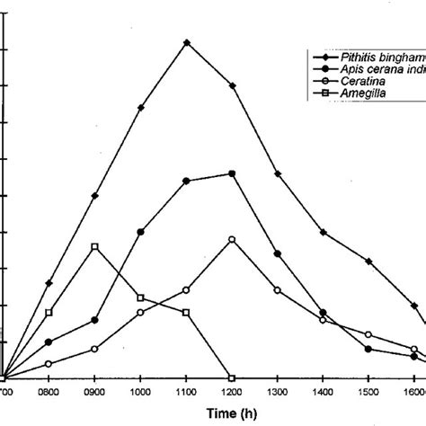 Hourly Foraging Activity Of Different Bees On A Sinuata Download