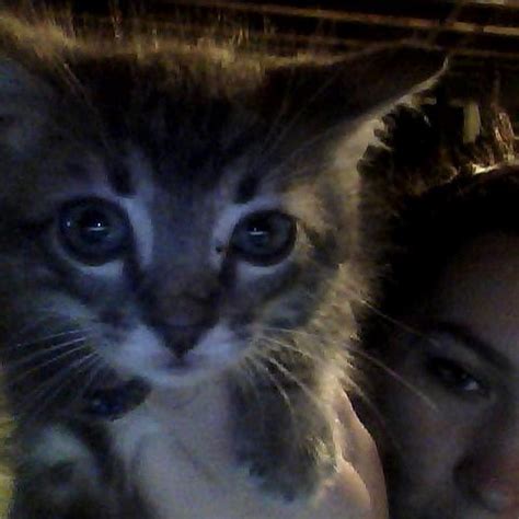 Lauren Smrcina Youtube