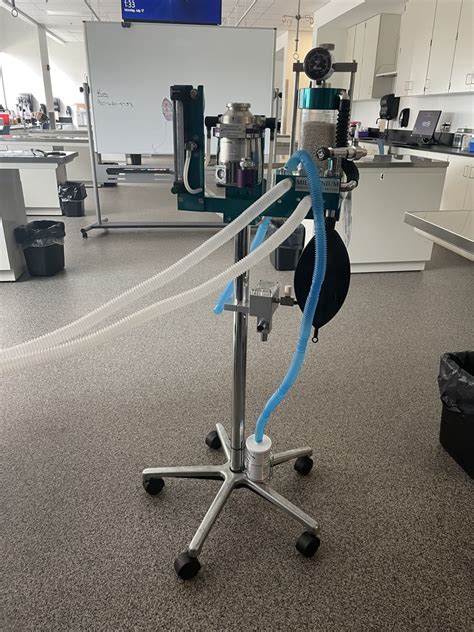 Anesthesia Flow Labeling Diagram Quizlet