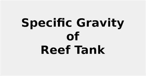 Specific Gravity Of Reef Tank And Formula Definition Infographic 2022