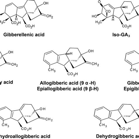 Pdf Current Advances In Gibberellic Acid Ga3 Production Patented