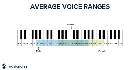 List Of Voice Ranges At Lynn Craig Blog