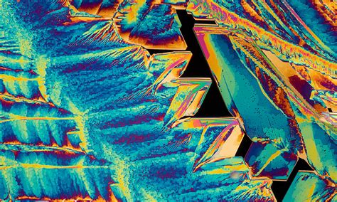 Polarized Light Microscopy Lumencor