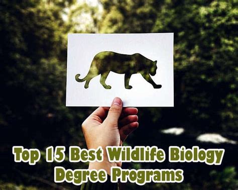 Top 15 Wildlife Biology Degree Programs In The Usa Biology Explorer