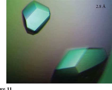 Figure 1 From Biological Crystallography Crystallization Of Protein