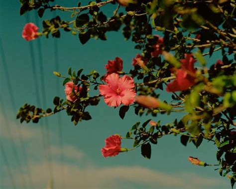 Australia By Sam Wright