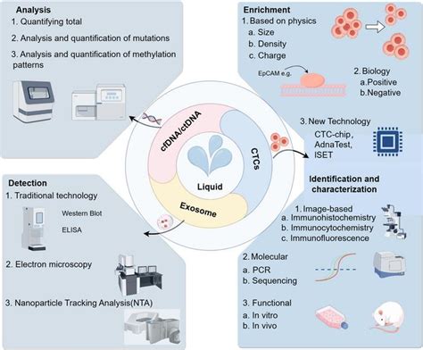 Liquid Biopsy Revolutionizing Early Cancer Detection Biotechgrid