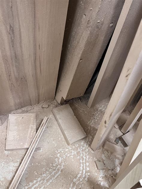 My First Thought Is Cockroach Rwhatsthisbug