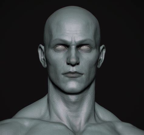 Artstation Male Anatomy Male Face Drawing Digital Sculpting Life