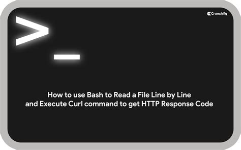 Linux And Curl How To Use Bash To Read A File Line By Line And Execute