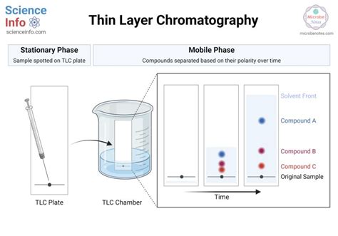 Microbe Notes On Linkedin Microbenotes Scienceinfo Chromatography Thinlayerchromatography