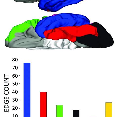 Top White Matter Connections Contributing To Structural Connectome