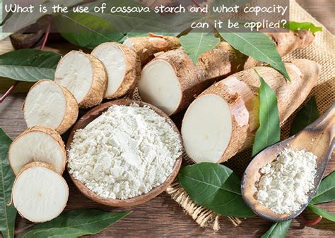 What Is The Use Of Cassava Starch And What Capacity Can It Be Applied Faq
