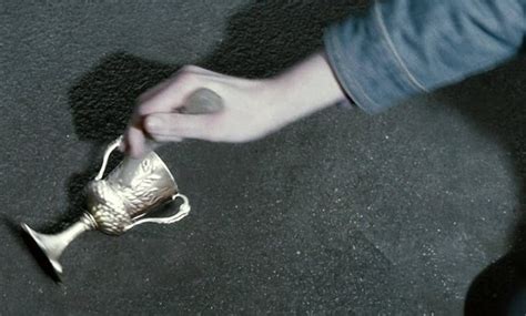 The Grandmas Logbook Horcrux The Stones And Helga Hufflepuffs Cup