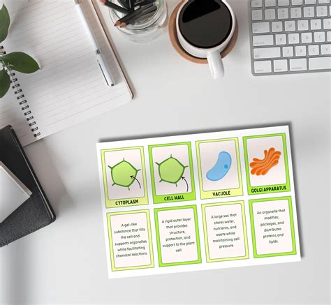 Plant Cell Structure Poster Biology Classroom Art Digital Download