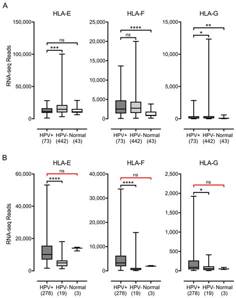 Expression Of Non Classical Mhc I Heavy Chain Genes In Head And Neck Or
