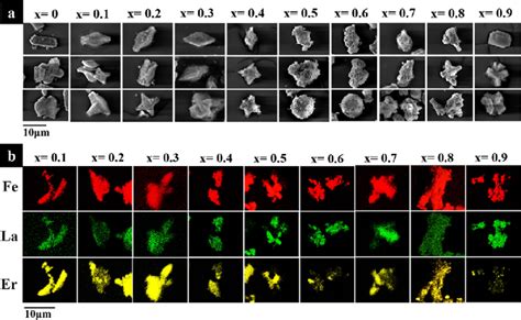 A Electron Micrographs And B Eds Maps Of La X Er 1−x Feo 3 X