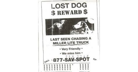 Pin Op Drusella