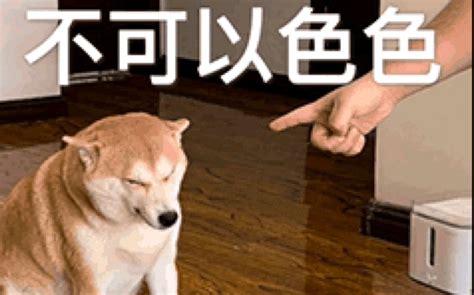 过审！！fnf Sexmod无遮挡