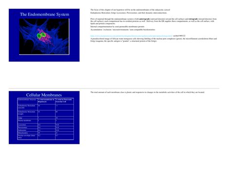 Flow Chart Of Endomembrane System Flow