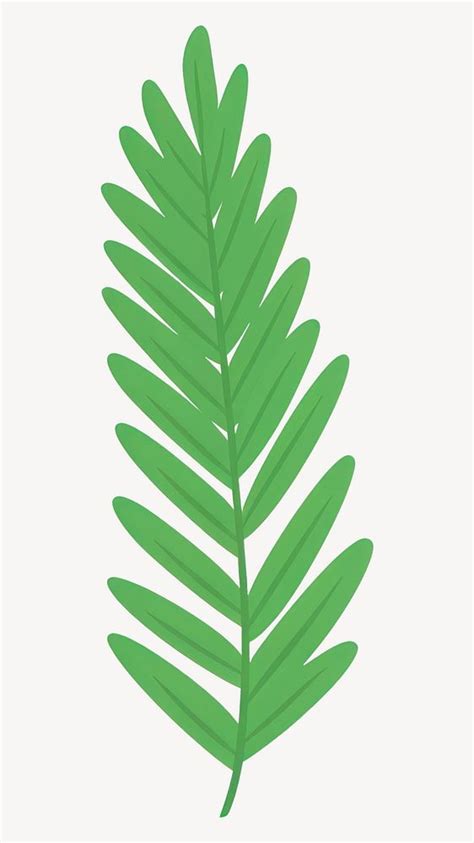 Pine Needle Leaf Illustration Simple Free Vector Illustration Rawpixel