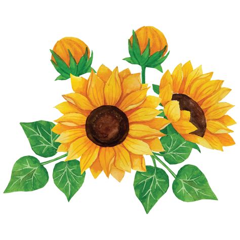 Sunflower Bouquet Clip Art