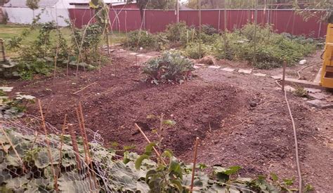 Compost Temperature Guide Tips And Tools Thermoworks