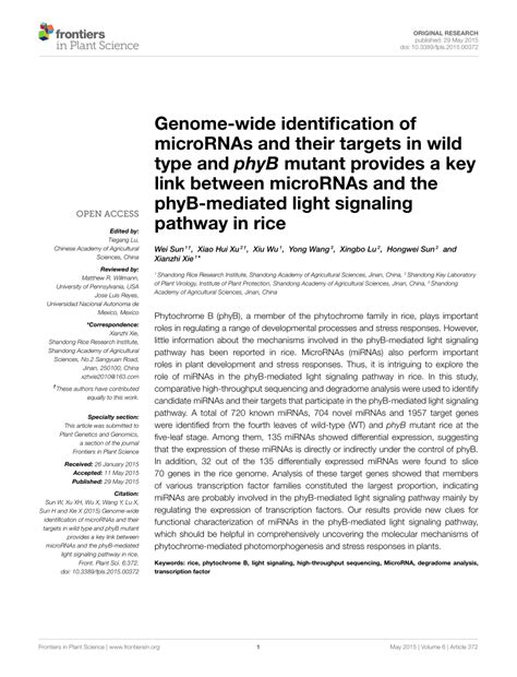 Pdf Genome Wide Identification Of Micrornas And Their Targets In Wild Type And Phyb Mutant