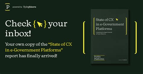 Flying Bisons On Linkedin Publicplatforms Cx Ux Report