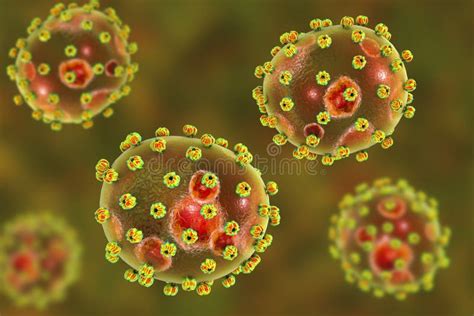 Lassa Fever Viruses Stock Illustration Illustration Of Arenavirus
