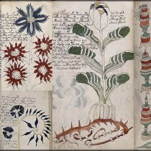 The Voynich Manuscript Original 15th Century Occult Text Digital Download Ebook Etsy