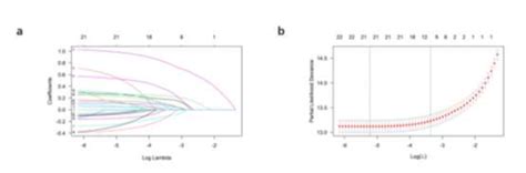 feature selection using the lasso cox regression model a lasso