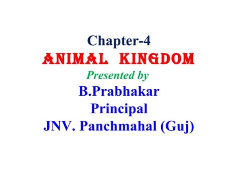 Annelida General Characters And Classification Pptx